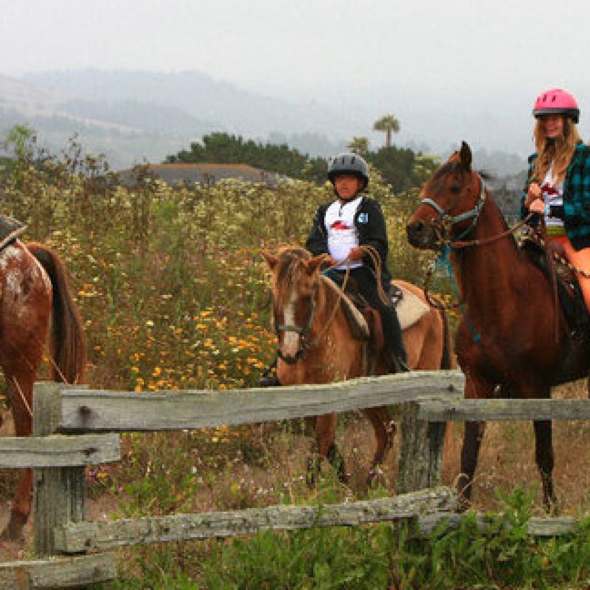 Sea Horse Ranch | Horseback Riding Half Moon Bay, California